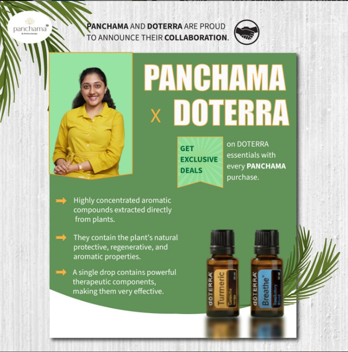 Panchama - Professional Development & Training Programs